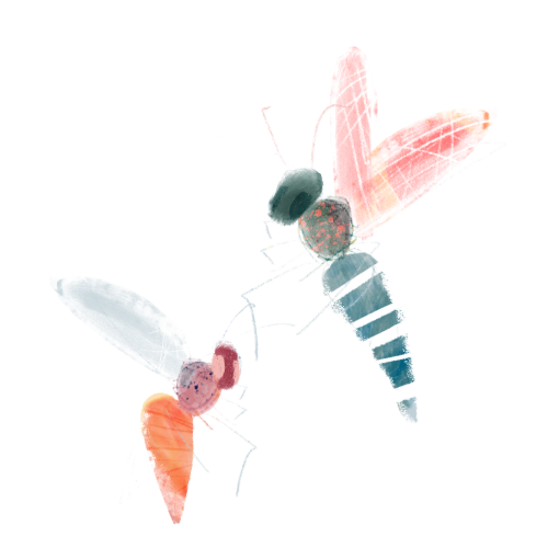 Alle Heroes | Insect Heroes Nederland