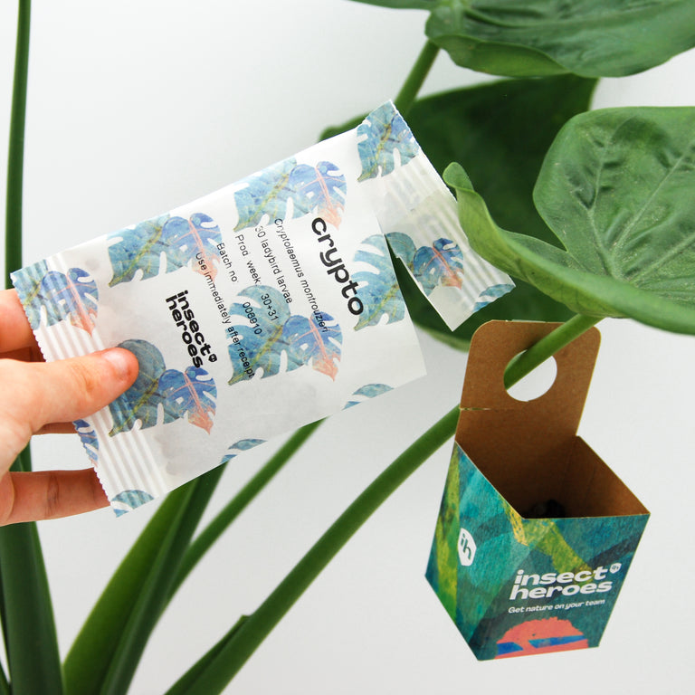 Alle producten | Insect Heroes | Insect Heroes Nederland
