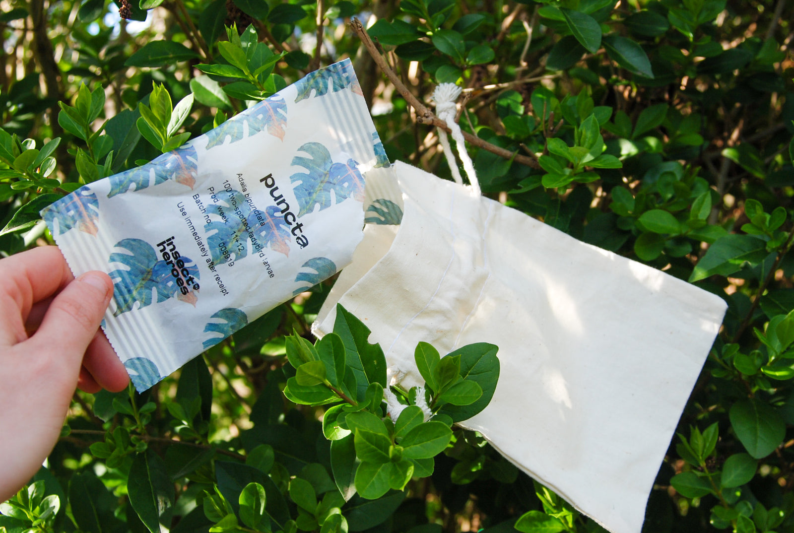 Insect Heroes - Get nature on your team