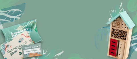 Insect Heroes - Get nature on your team