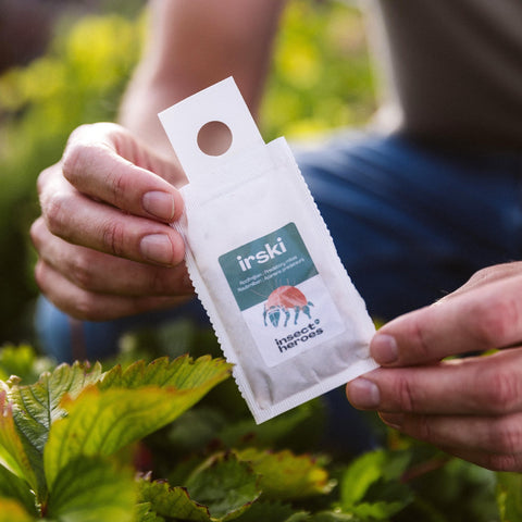 Alle producten | Insect Heroes | Insect Heroes Nederland