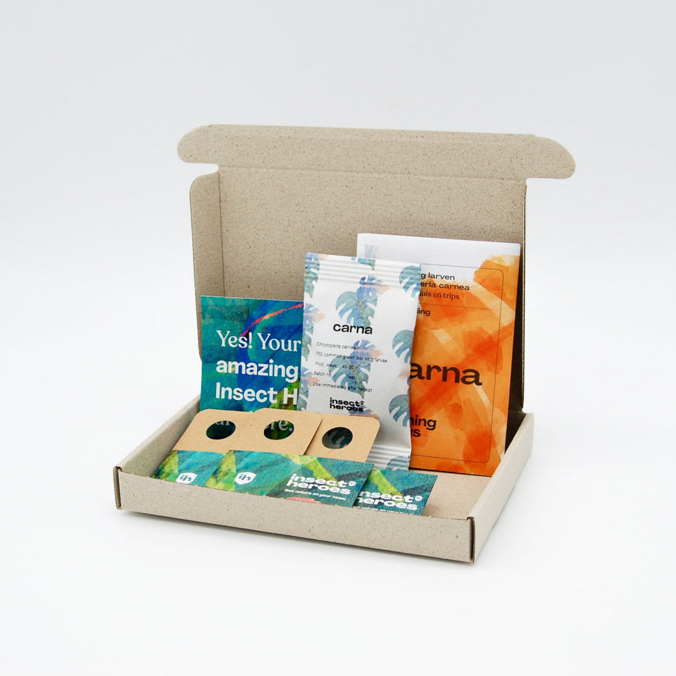 Trips bestrijden? Herkennen, bestrijden en voorkomen van trips | Insect ...